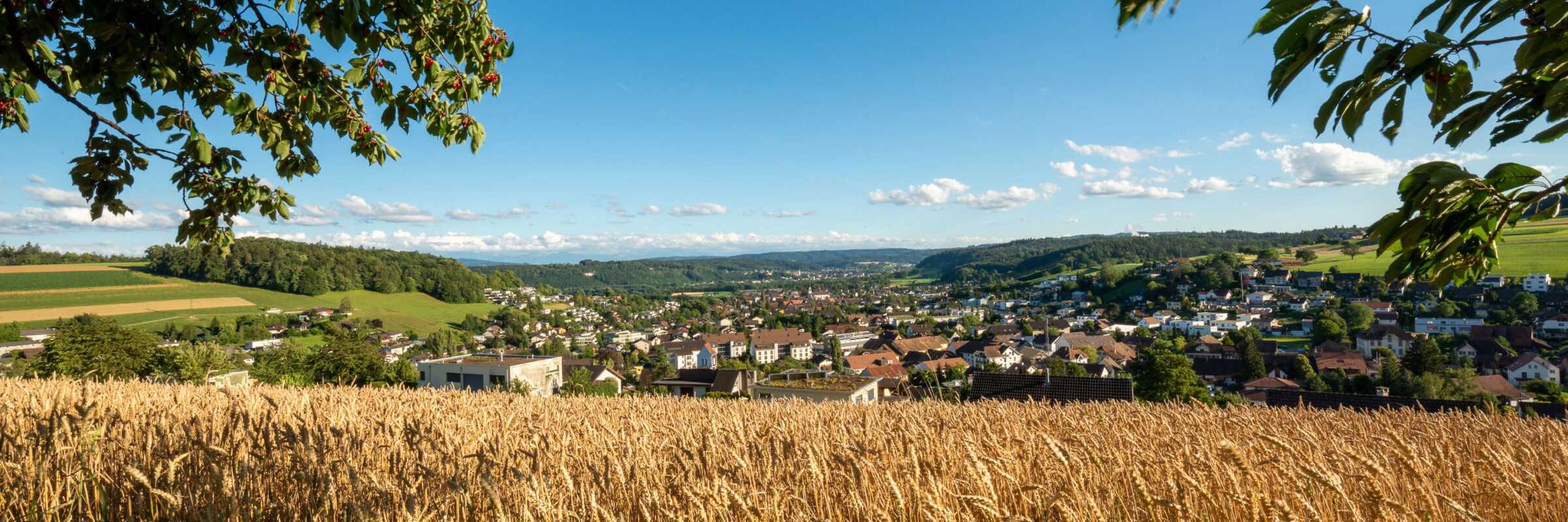 Home - Erlinsbach AG